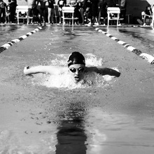 Ava Schneider | Swimcloud