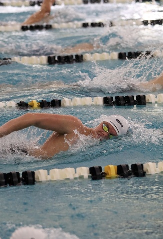 Michael Cellucci | Swimcloud