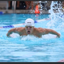 Albert Whitlock | Swimcloud