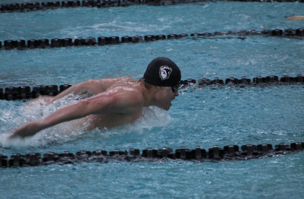 Michael Cellucci | Swimcloud