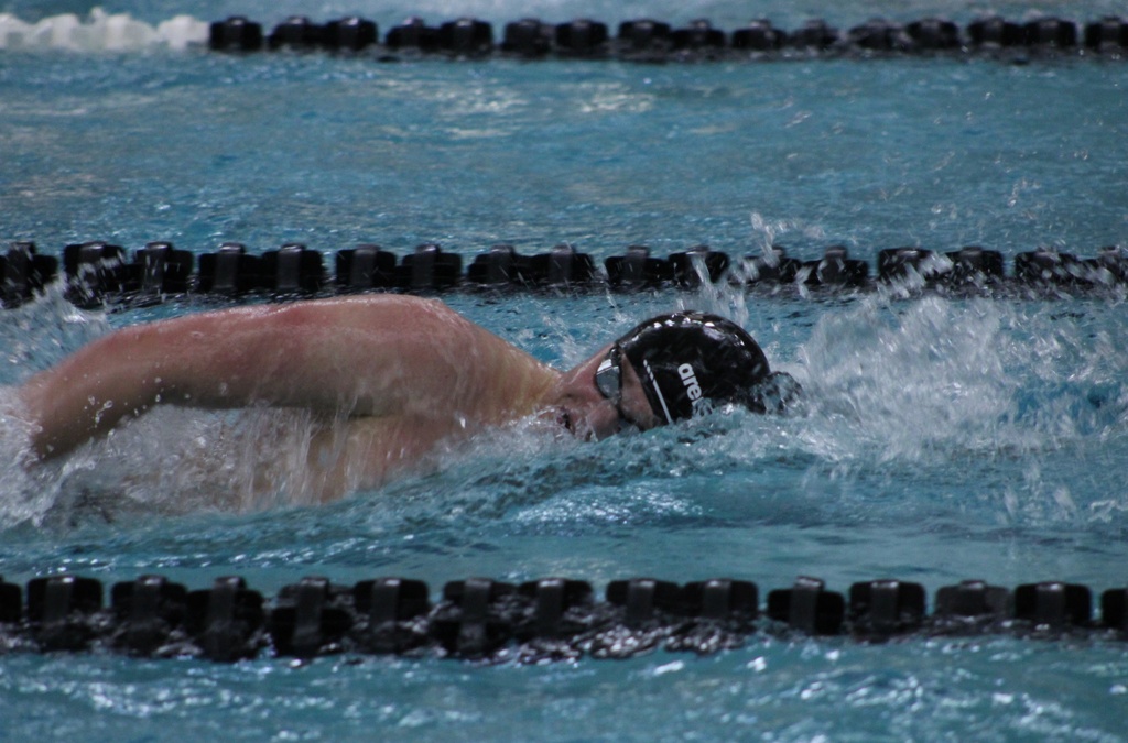 Michael Cellucci | Swimcloud