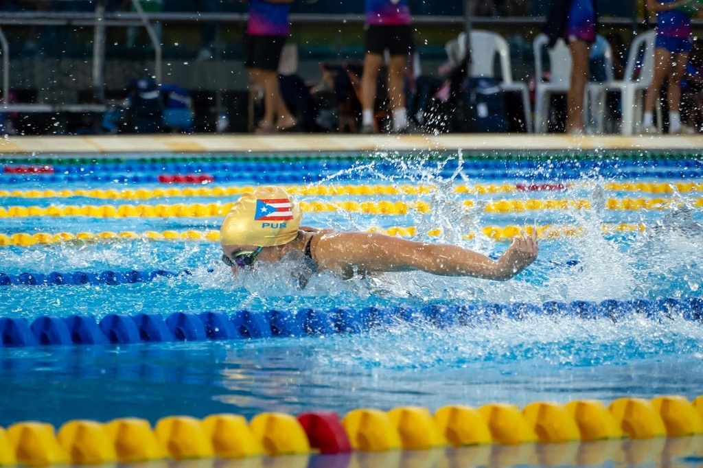 Anelle Guglielmello | Swimcloud