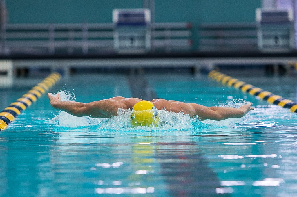 Daniel King | Swimcloud