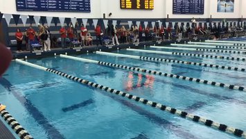 Reece Whitley | Swimcloud