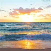 share tribute tribute guest book condolences send flowers photographs ...