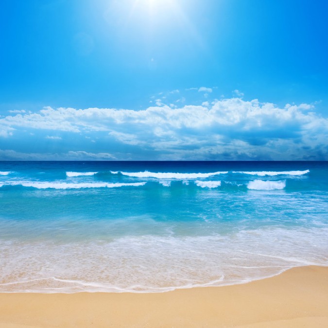 Tribute for Susan K. Beck