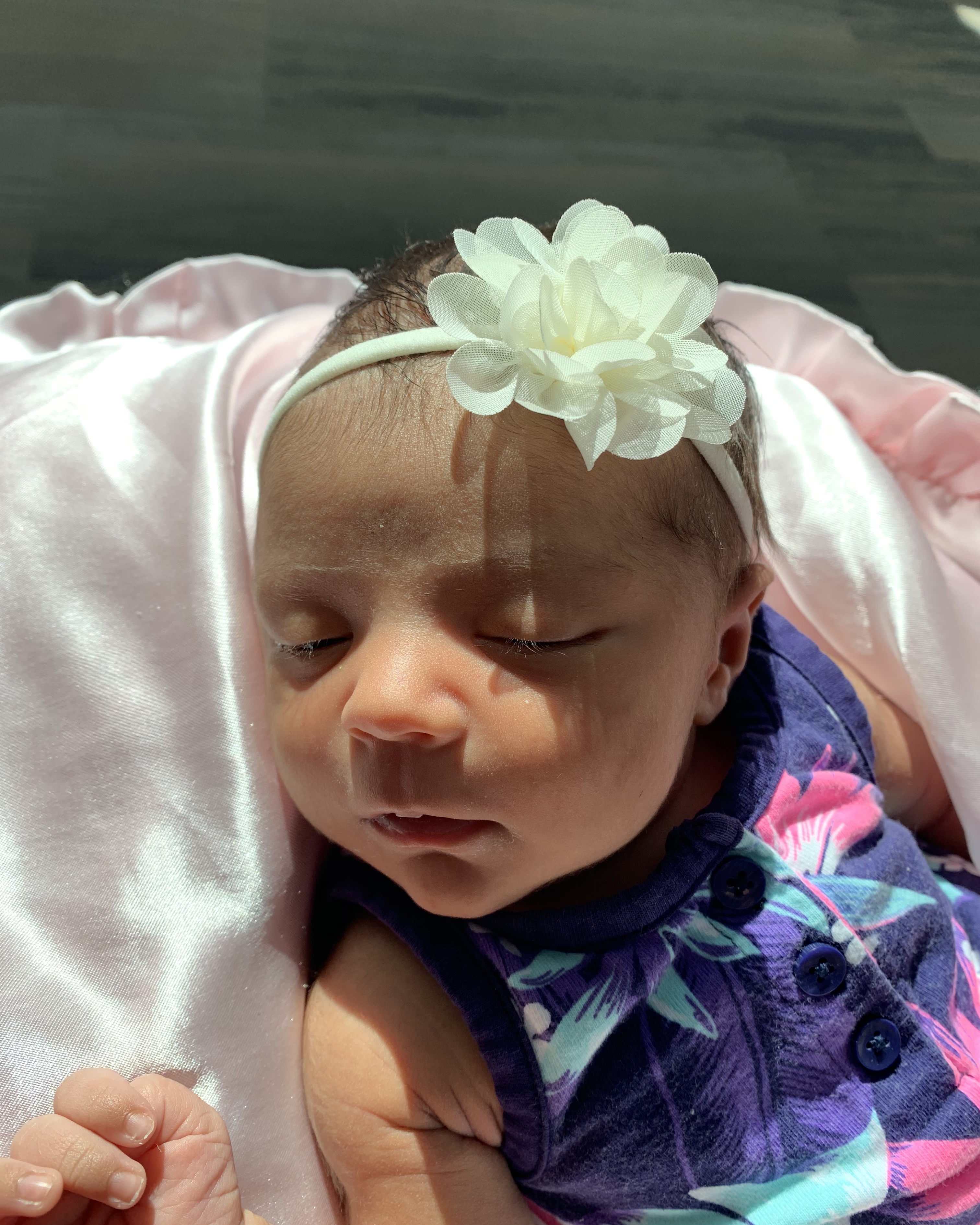 Jasmine Marie's Instagram, Twitter & Facebook on IDCrawl