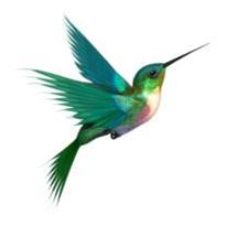 Tribute for Sheila Kiley Andre