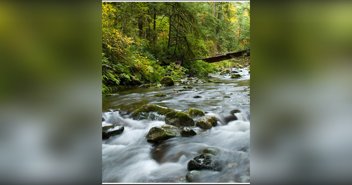 Tribute for James Lewis | Emerald Coast Funeral Home