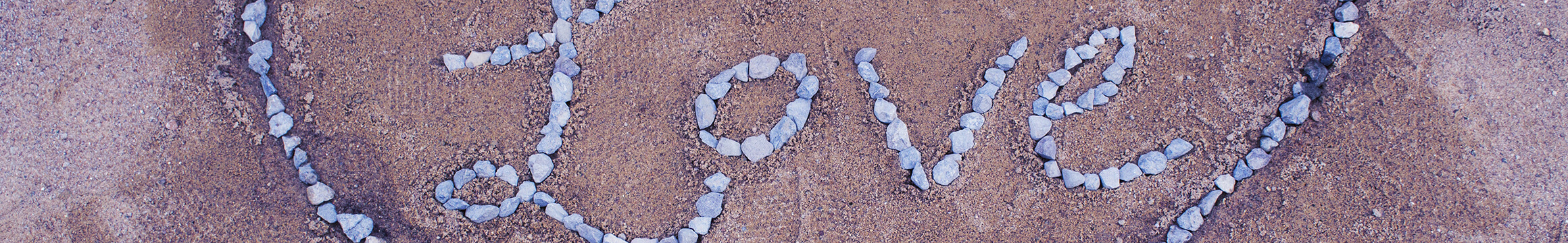 Tribute for Terri Sisson | Williamson & Sons Funeral Home