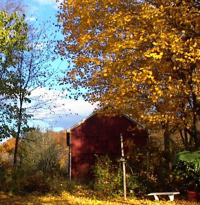 Red barn/tobacco shed (1044 Main Street, Glastonbury (Central Valley ...
