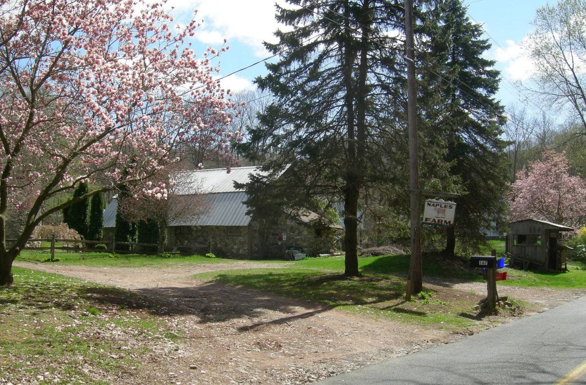 Naples Farm (167 Bear Rock Road, Durham (Central Valley)) | Historic ...