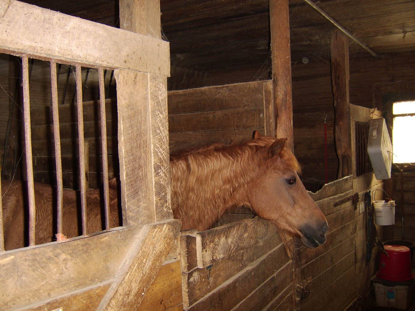 Greenbacker Farm/Saddlebrook Farm (160-162 Wallingford Road (Rte 68 ...