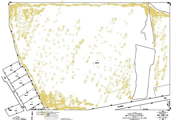 Greenbacker Farm/Saddlebrook Farm (160-162 Wallingford Road (Rte 68 ...