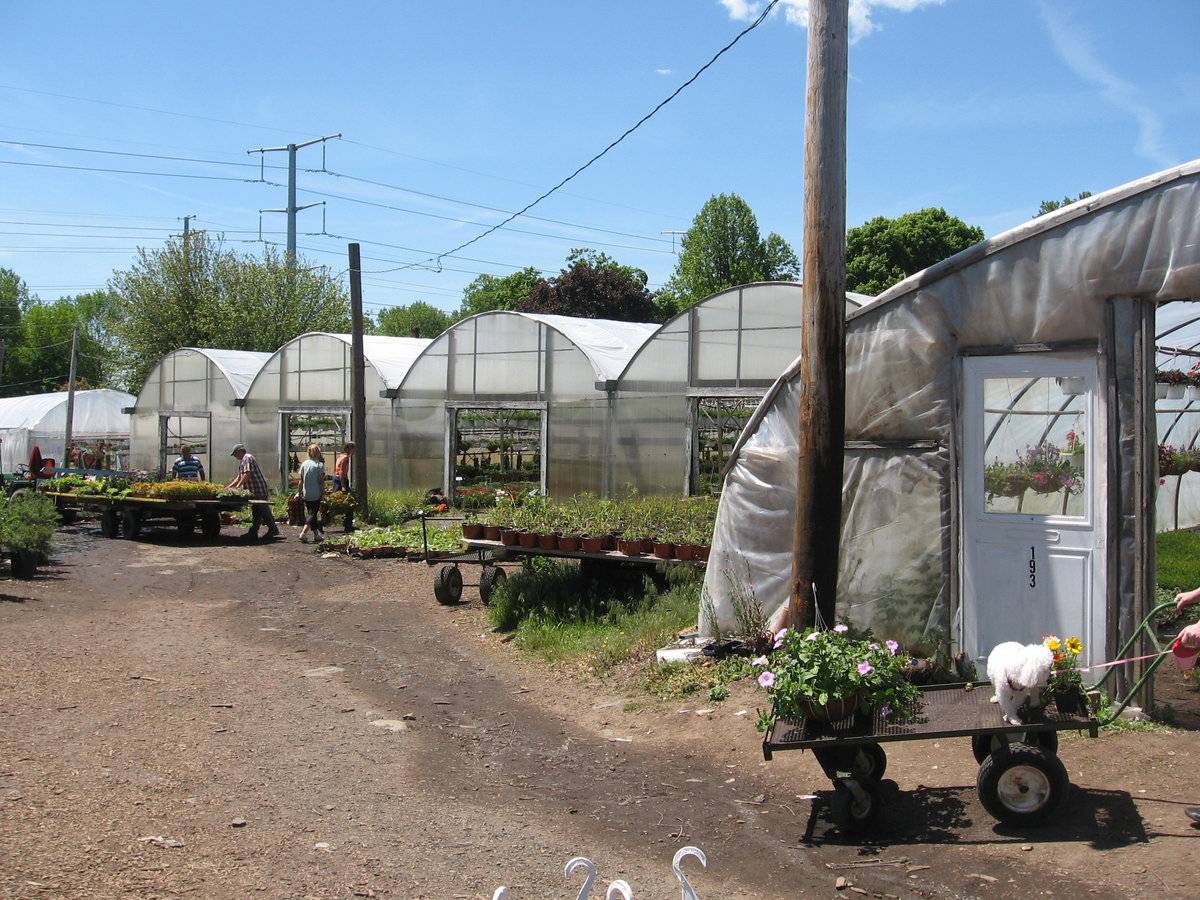 Filanowski's Farm (381 Wheelers Farms Road, Milford (Western Coastal ...