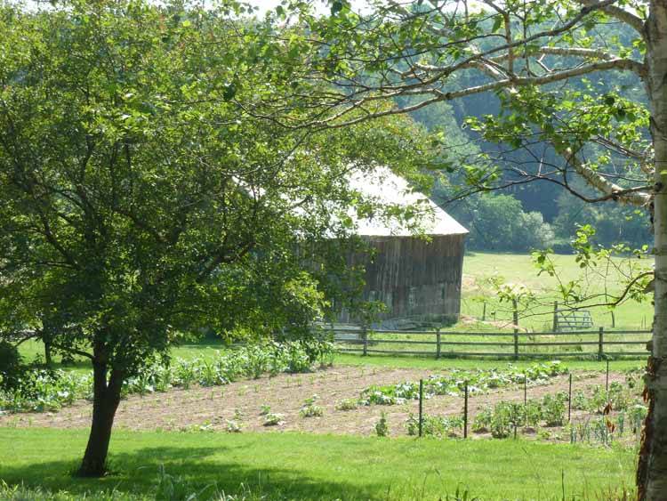 Wappoquia Brook Farm (246 Pomfret Street (Rte 169), Pomfret (Eastern ...