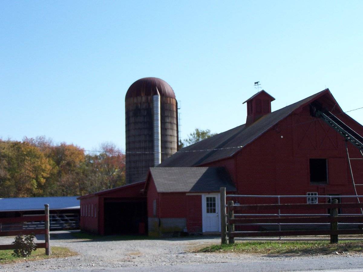 Chuck Hill Farm (382 Jewett City Road (Rte 164), Preston (Eastern ...