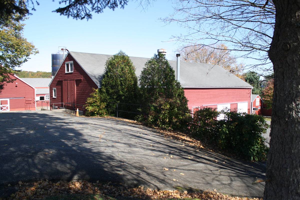 Fairfield County Hounds (104 Botsford Hill Road, Roxbury (Western ...