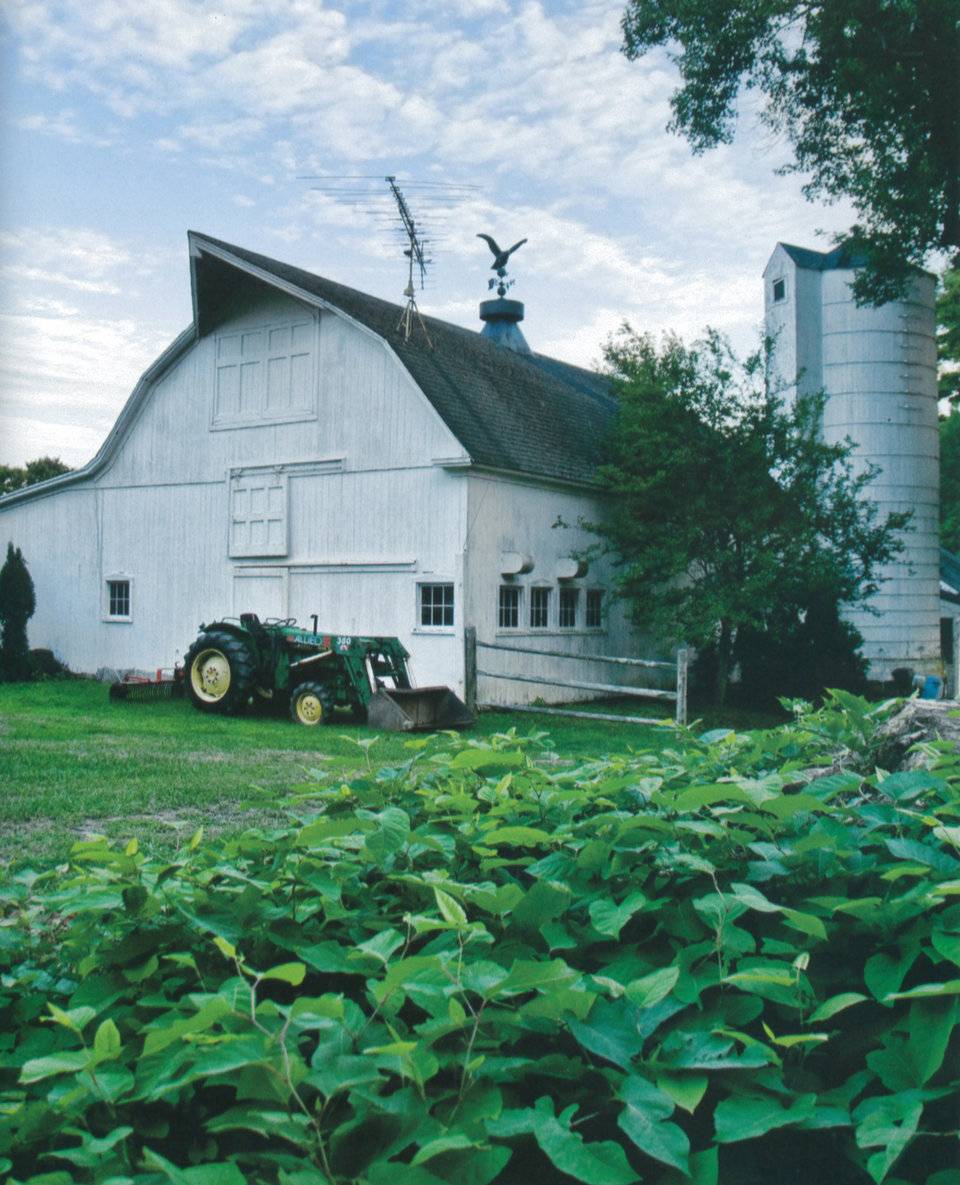 Edgehill Farm (102 North Street (Rte 199), Roxbury (Western Uplands ...