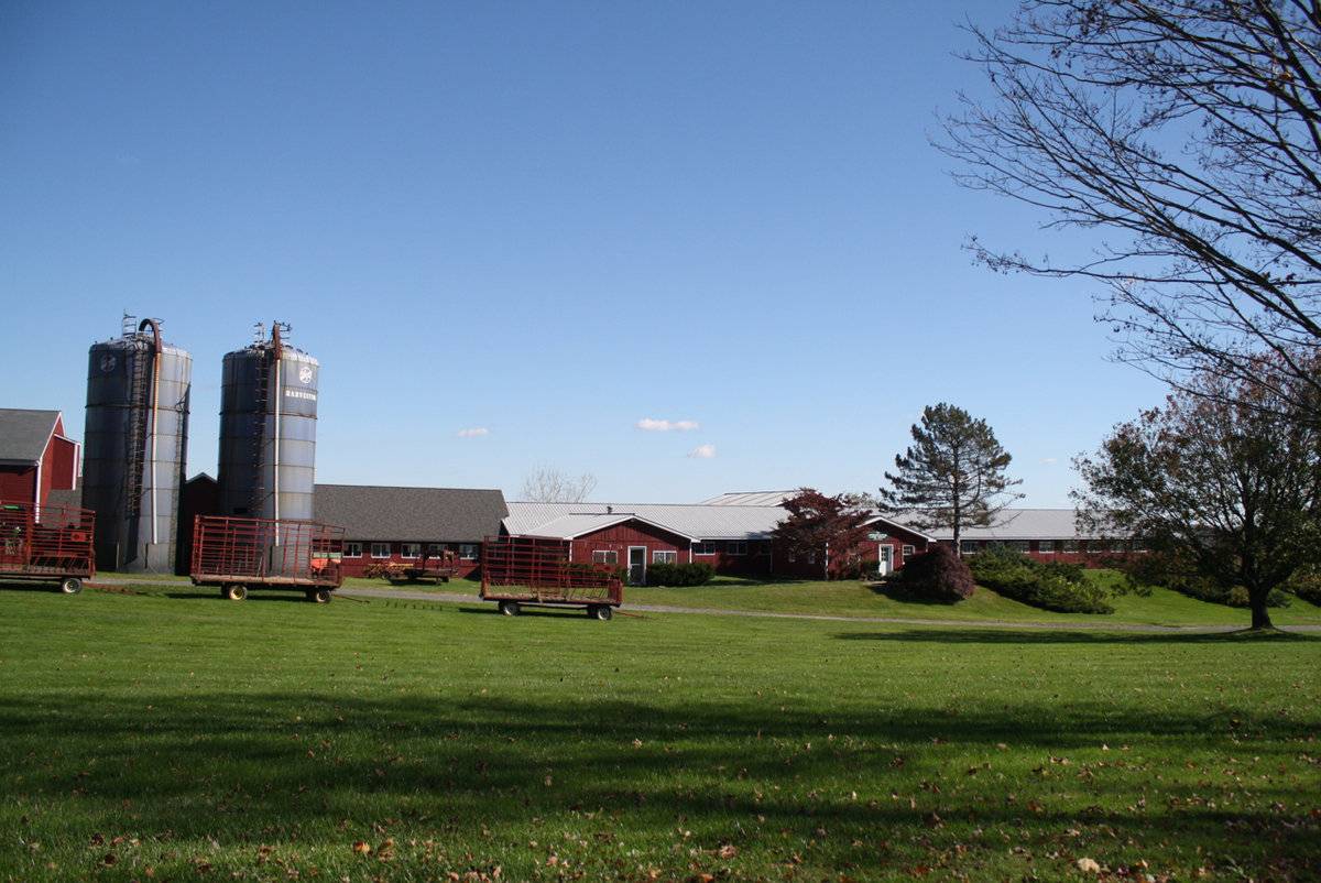 Stuart Family Farm (38 Town Line Road, Roxbury (Western Uplands ...