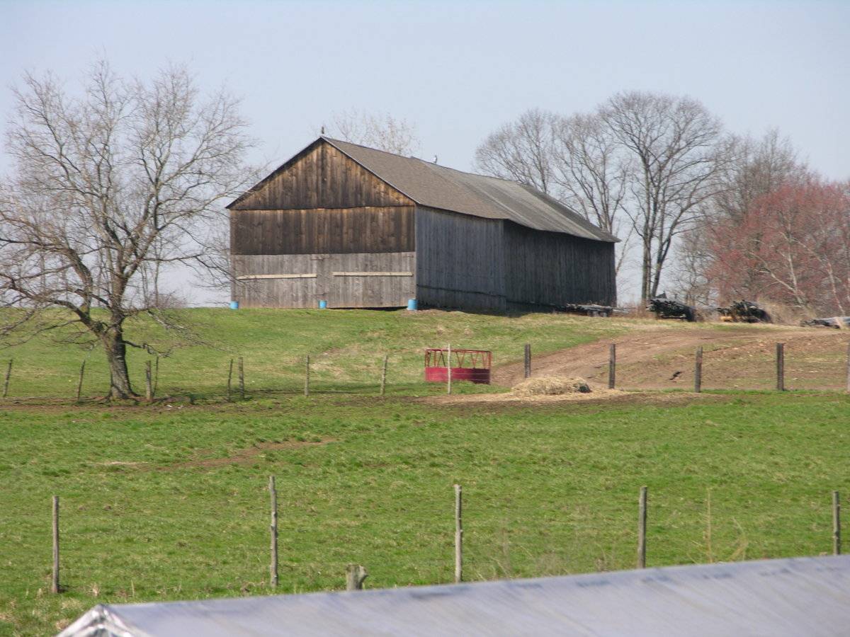 Bielonko Farms (Part 2 of 3) (937 East Street North (Rte 159), Suffield ...