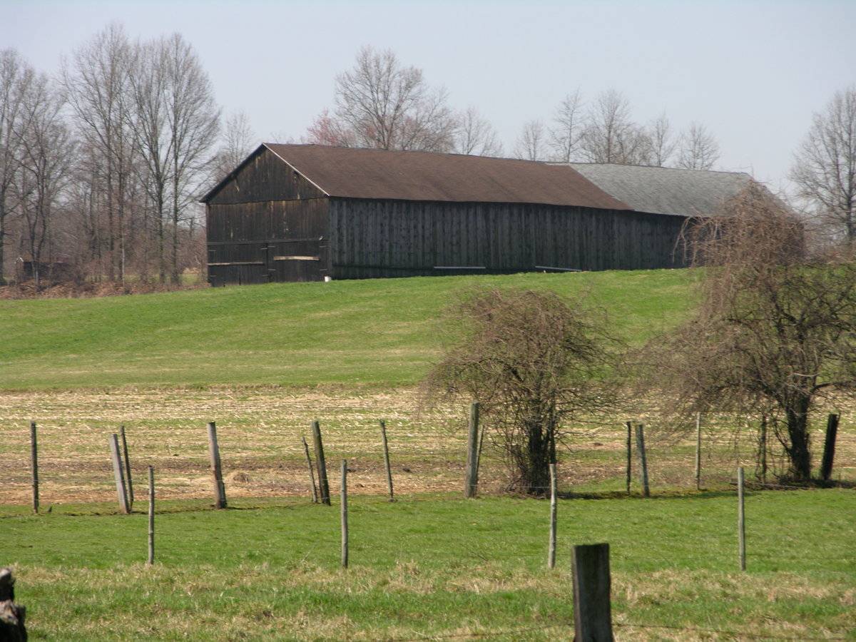 Bielonko Farms (Part 2 of 3) (937 East Street North (Rte 159), Suffield ...