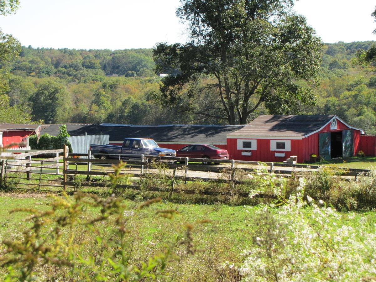 Raven Rock Farm (265 Gager Hill Road, Scotland (Eastern Uplands ...