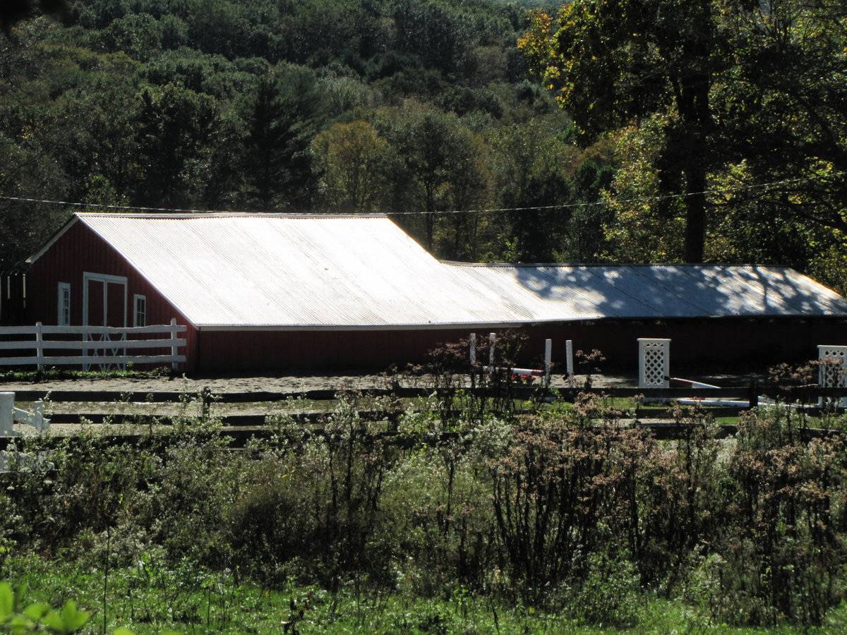 Raven Rock Farm (265 Gager Hill Road, Scotland (Eastern Uplands ...