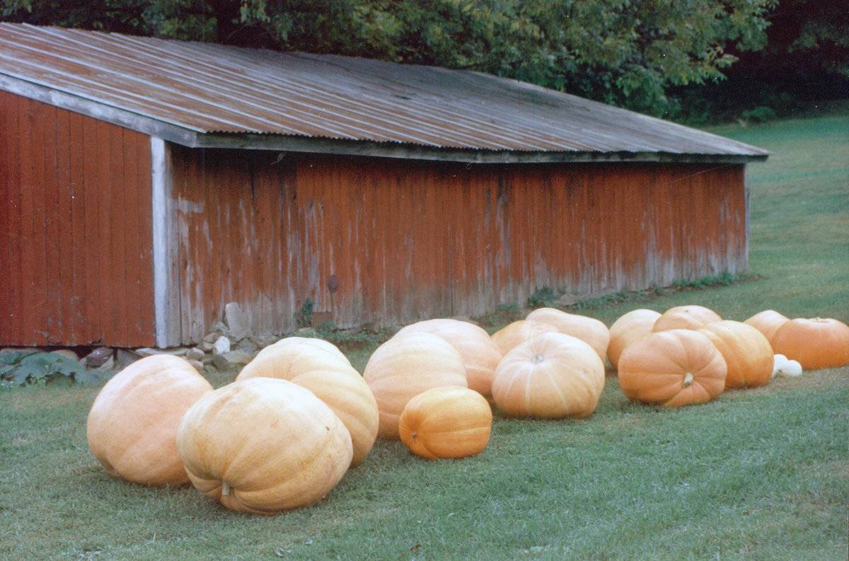 The Carlson Farm (2 Evans Hill Road, Sherman (Northwest Highlands ...