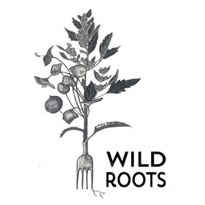 About Wild Roots Restaurant | Culinary Agents