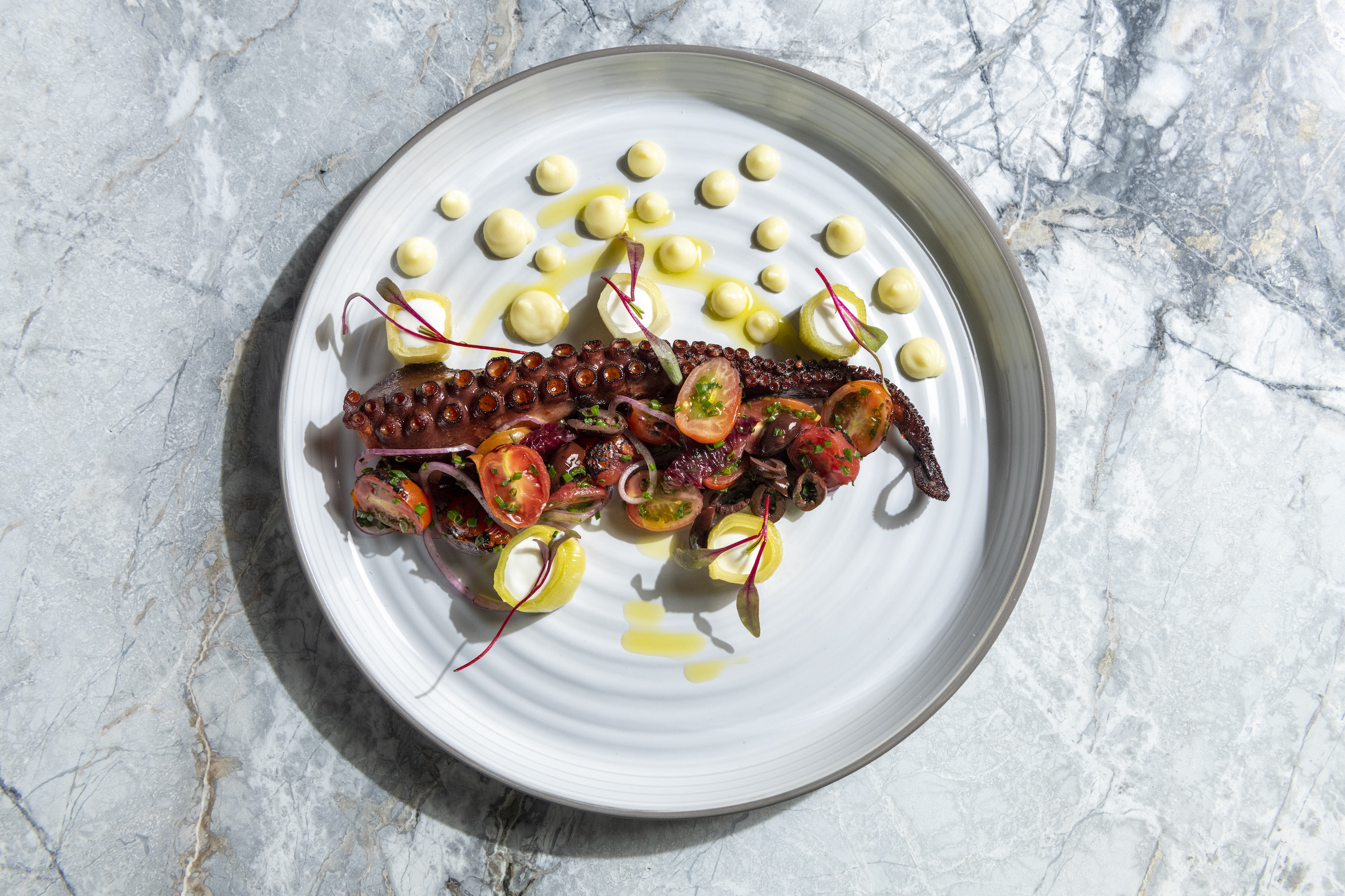 About Mollusca | Culinary Agents