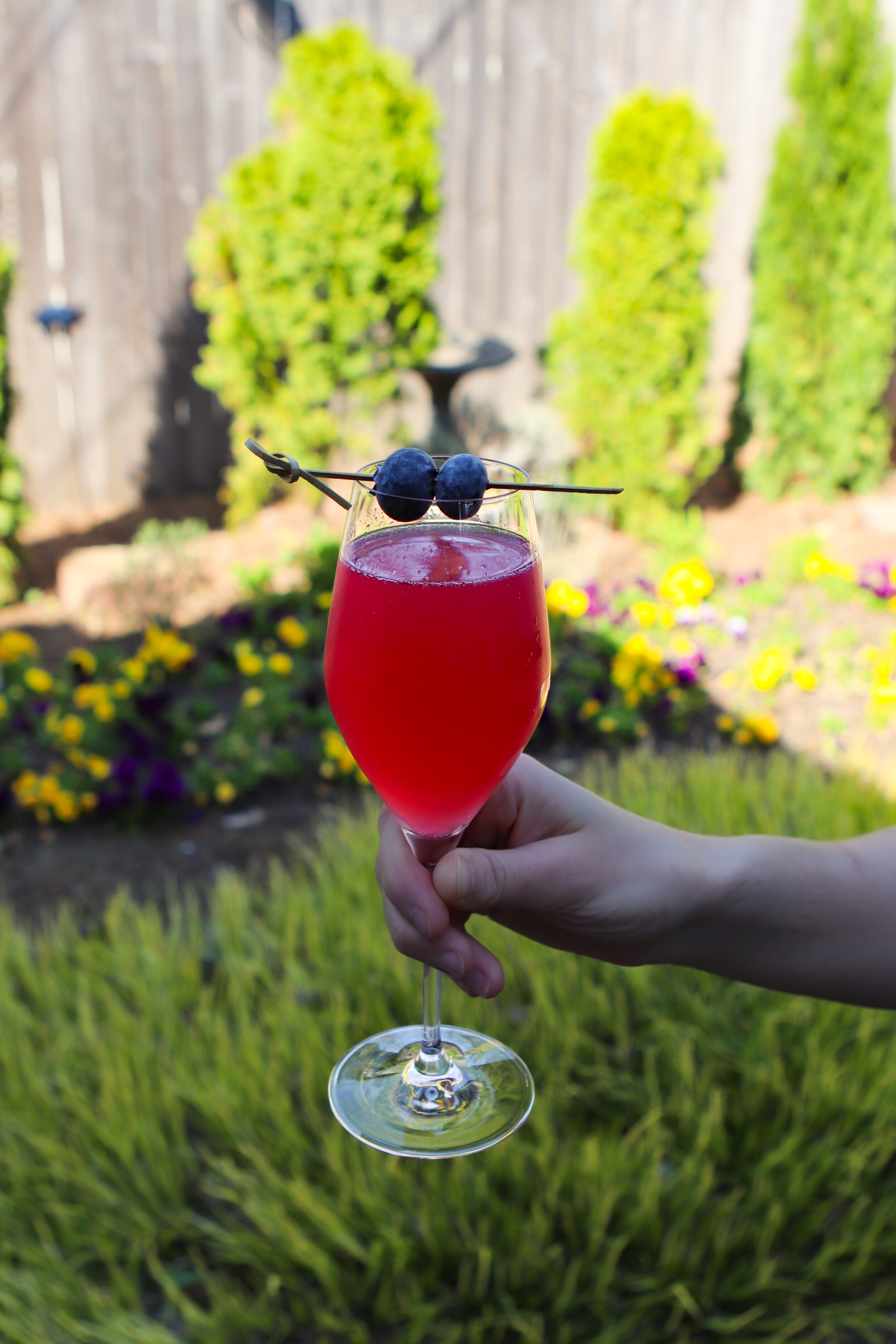 Andrew Michael Italian Kitchen hiring Waiter / | Culinary Agents