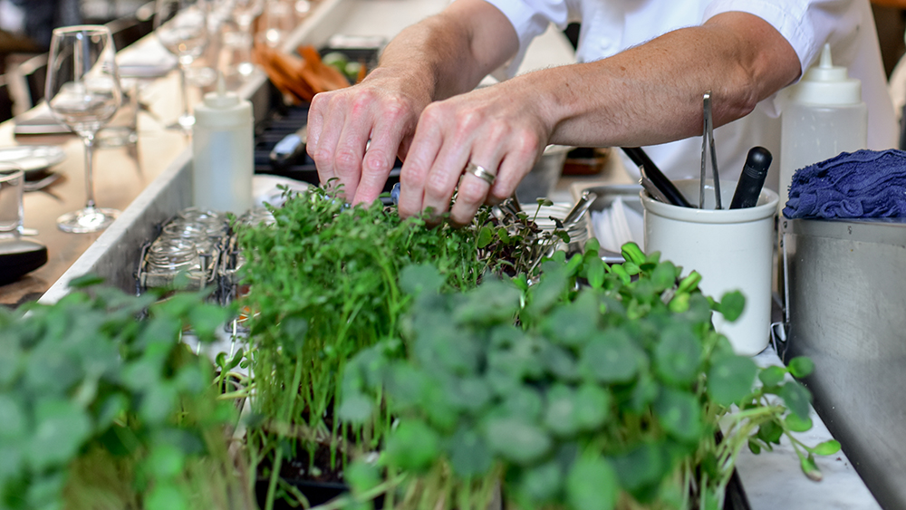 ICYMI: James Beard Foundation Award Winners | Hospitality Career Paths