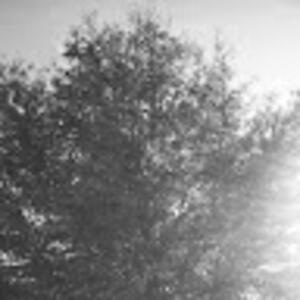 Alexander Howe's professional profile | Culinary Agents