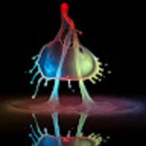 James Rainbolt's professional profile | Culinary Agents