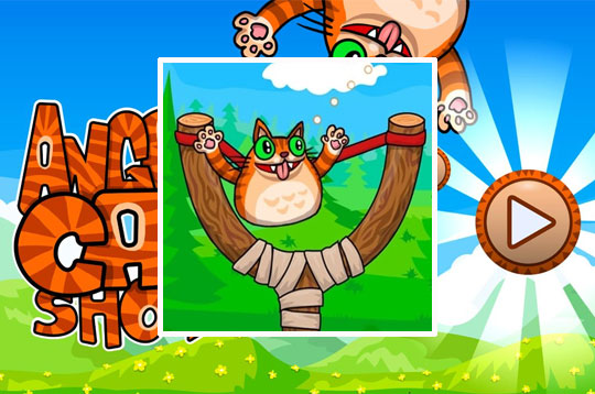 Angry Cat Shot em Jogos na Internet
