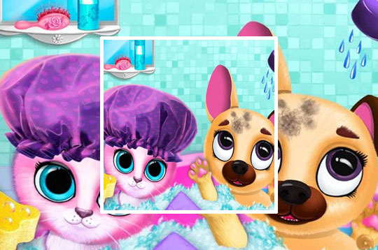 Cute Pet Friends sur JeuxGratuitJeux