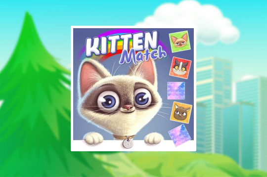 Kitten Match on Culga Games