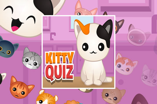 Kitty Quiz sur JeuxGratuitJeux