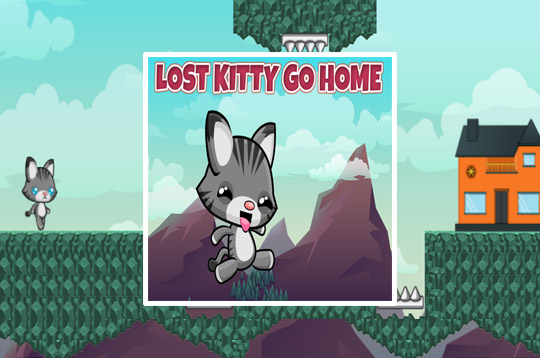 Lost Kitty Go Home on Culga Games
