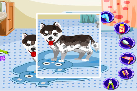 My Cute Dog Bathing em Jogos na Internet