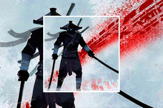 Ninja Arashi on Culga Games