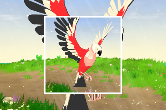 Parrot Simulator on Culga Games