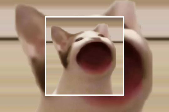 PopCat on Culga Games