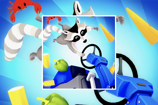 Raccoon Retail on Culga Games