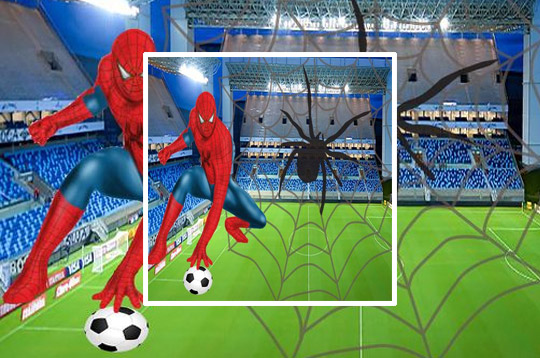 Spidy Soccer on Culga Games