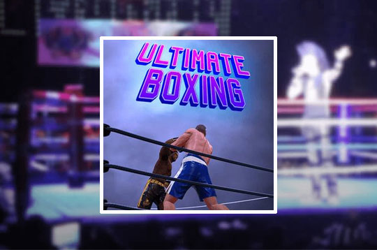 Ultimate Boxing sur JeuxGratuitJeux