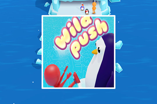 Wild Push sur JeuxGratuitJeux