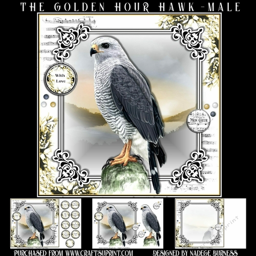 The Golden Hour Hawk MALE - CUP1152328_20051 | Craftsuprint