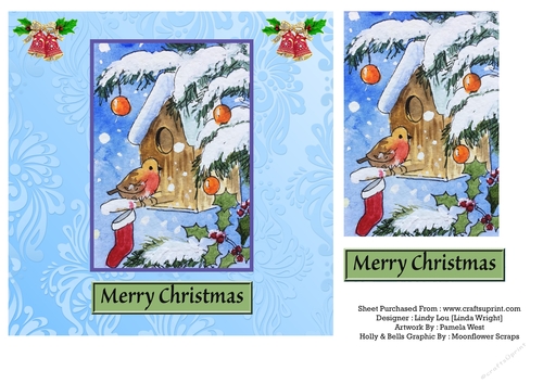 Robins Birdhouse and Christmas Stocking - CUP841717_20612 | Craftsuprint